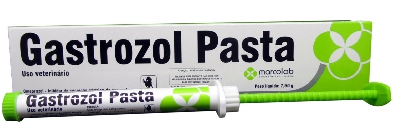 Gastrozol Pasta 7.5g - DSR Agrovet